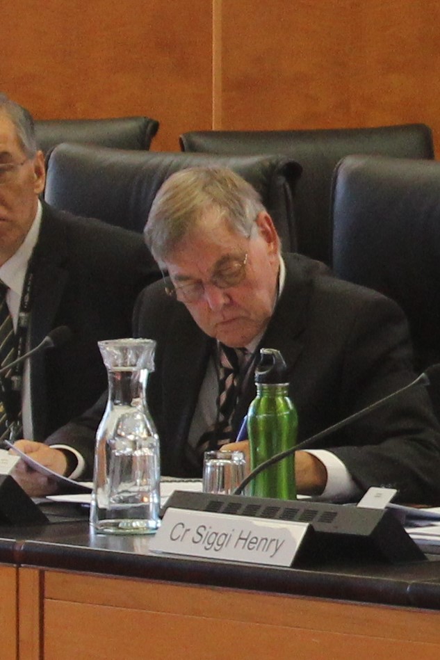 Hamilton deputy mayor challenges council’s view towards arts community ...