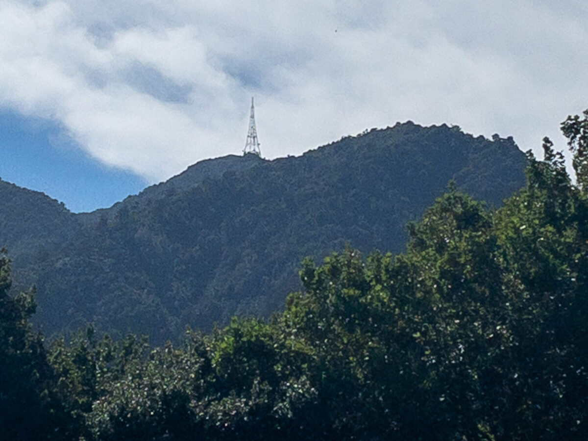 The Mountain of Love – The Waikato Independent