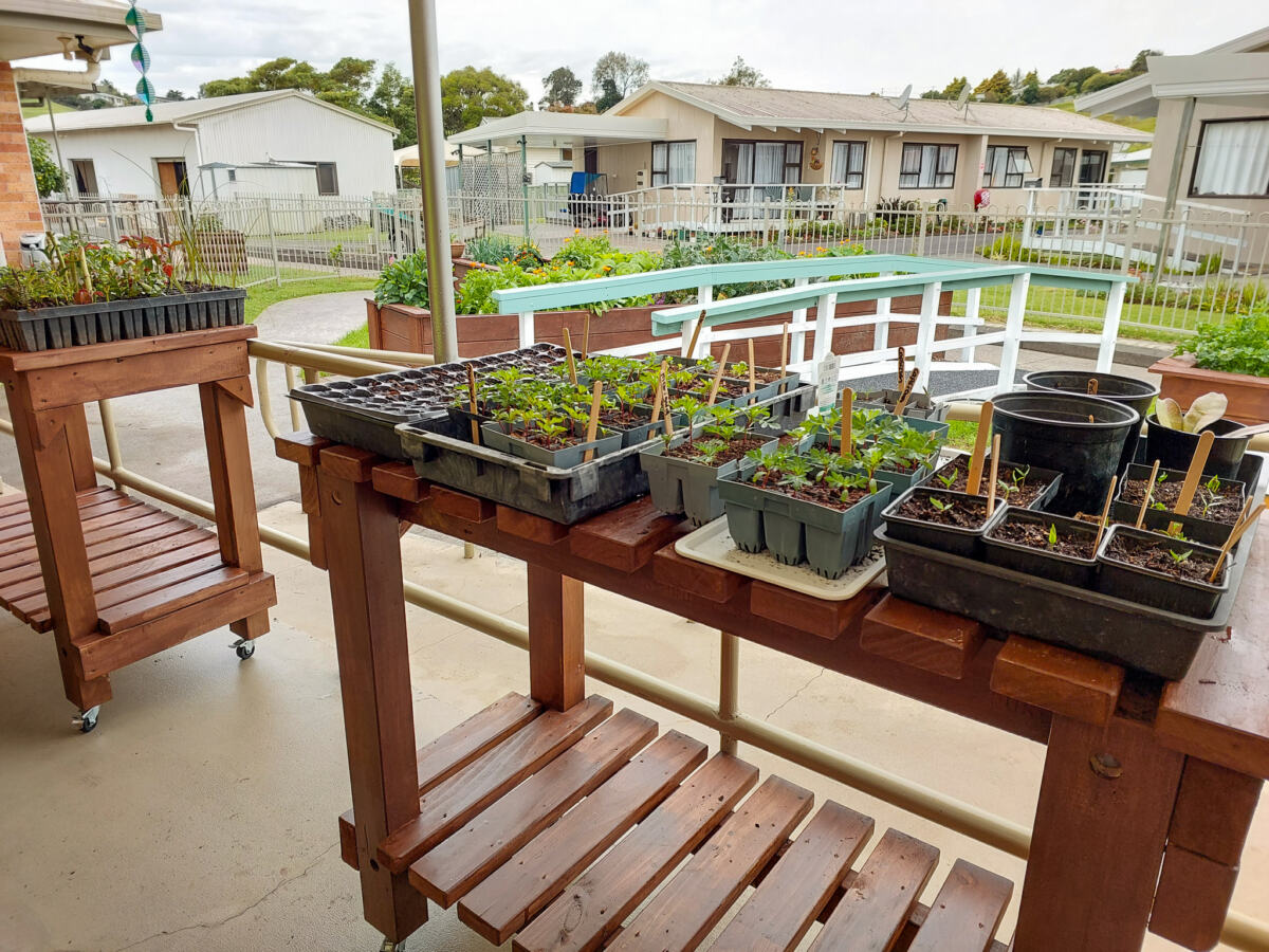 New gardens bring joy and productivity to rest home community – The ...